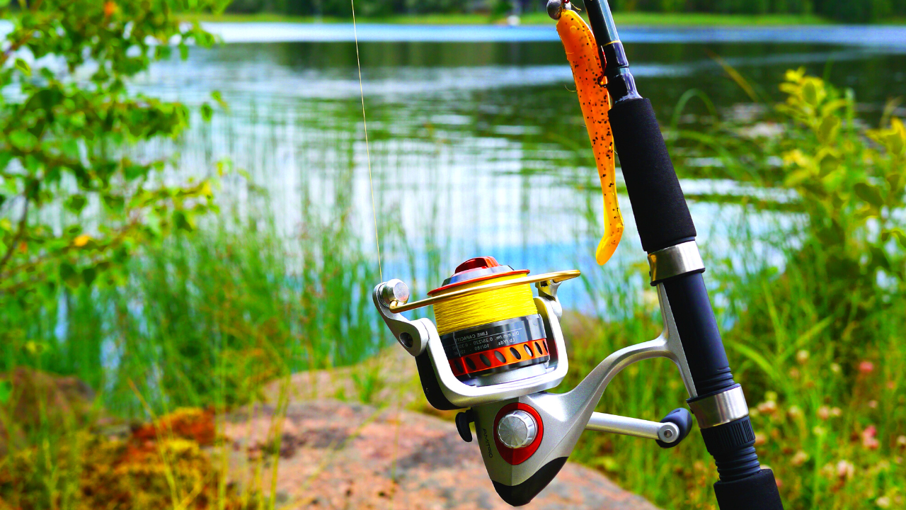 Best Tips for Using Fishing Gear Properly - NicolaFishing